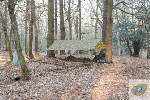 How To Have a Good Night Out (In The Woods)