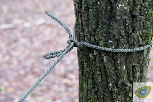 How to Tie a Quick and Secure Tarp Ridgeline Knot to a Tree