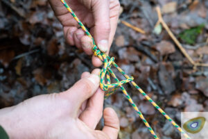 Tarp Guyline Knot: The Best Knot for Tarp Corners